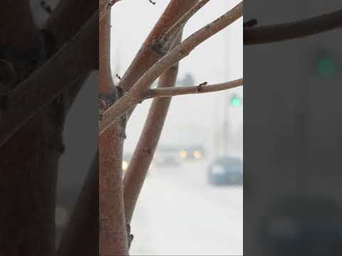 2/21/2022 - A look at today's weather conditions in Fargo, North Dakota! #Shorts