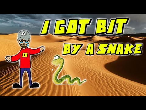 The Origin Of My Name