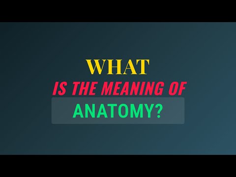 What is the meaning of Anatomy?