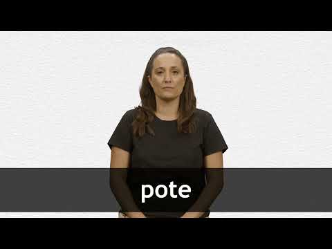 English Translation of “POTE” | Collins French-English Dictionary
