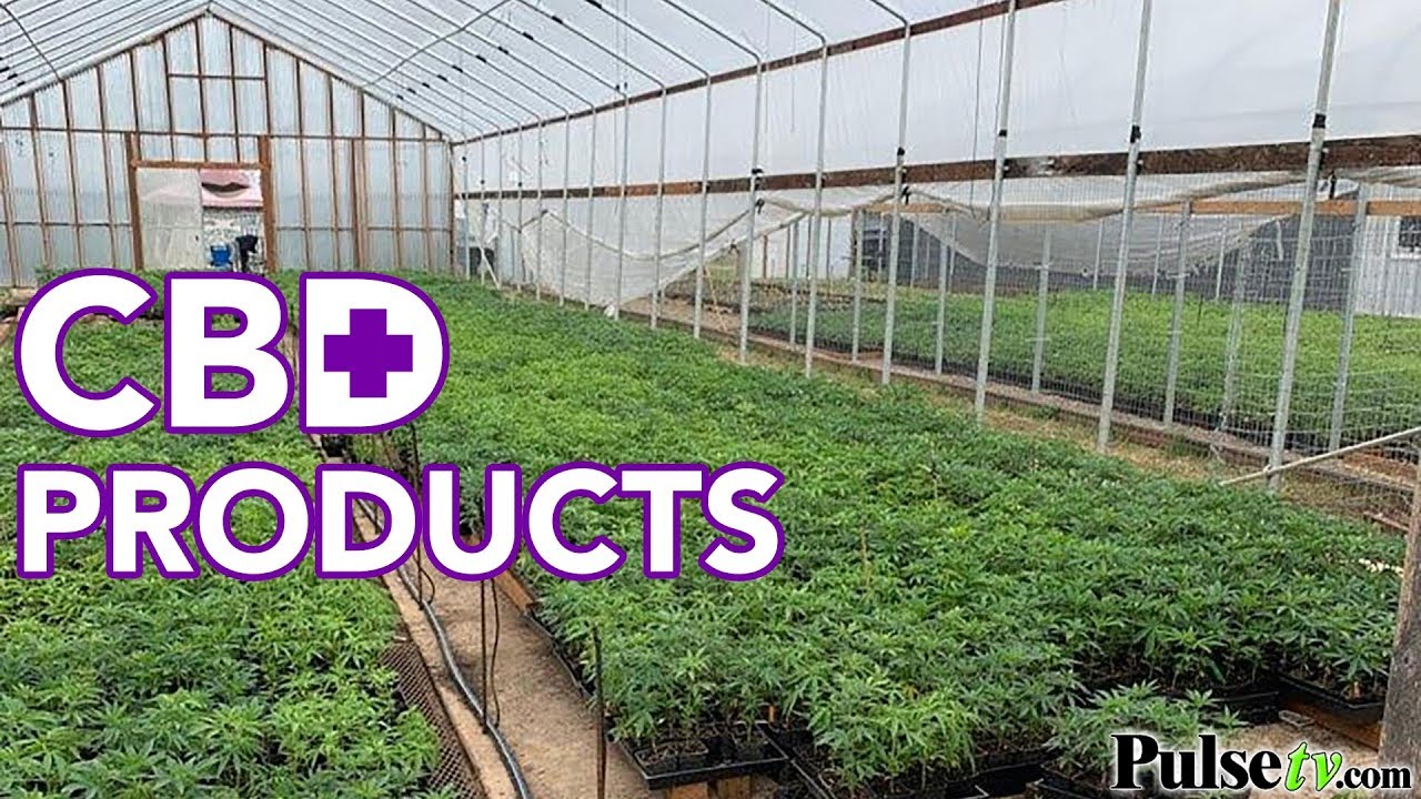 CBD Products at PulseTV