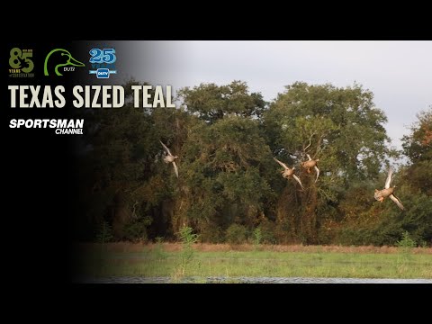 Texas-Sized Teal Duck Hunting | DUTV S27, E1