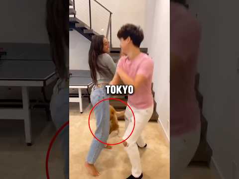 Kat Hixson just got attacked by Alan's dog Tokyo😱