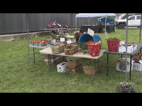 New farmers market opens in Shickshinny