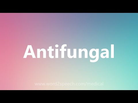 Arthro- - Medical Definition