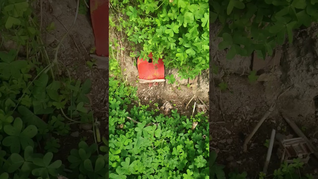 DUENDE REAL EN SU CASA! #duende #duendes