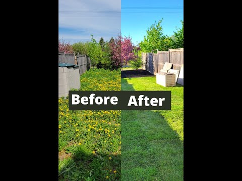 three important steps to installing sod!