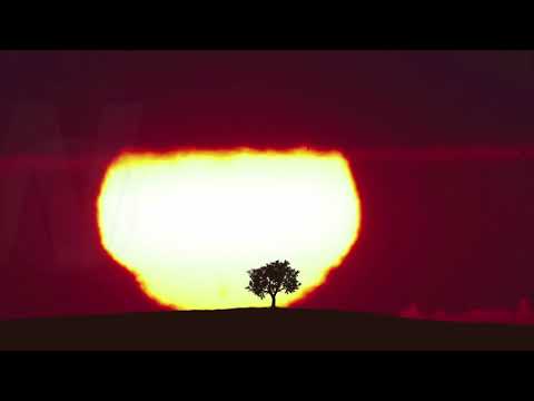 World Chill-Lounge Charts Vol. 8