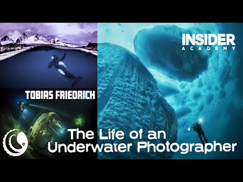 Tobias Friedrich - Life of an Underwater Photographer