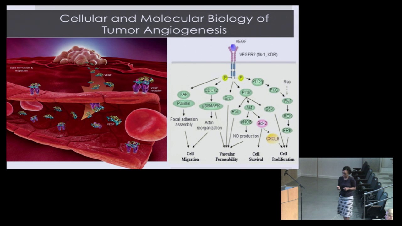 Trachette L. Jackson: Mathematical Models of Tumor Angiogenesis