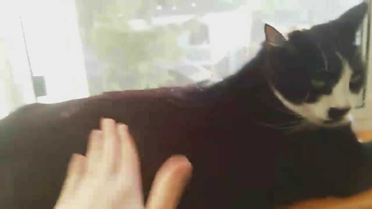 spanking that pussy