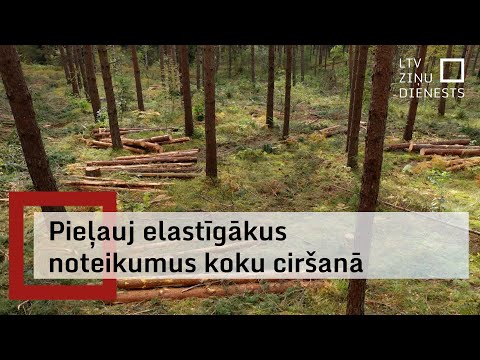 200 miljoniem pieaugtu valsts budžets, ja palielinātu pieļautos ciršanas apjomus valsts mežos