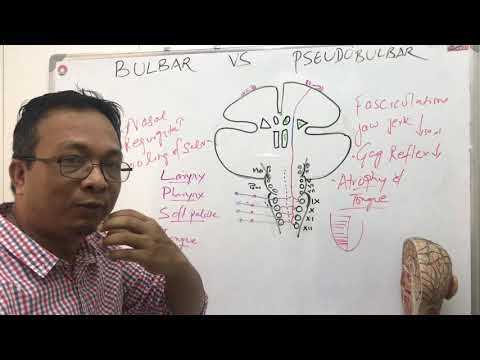 bulbar palsy vs pseudobulbar palsy