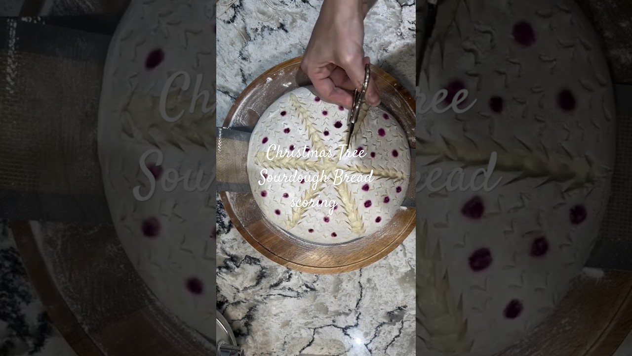Sourdough bread Christmas tree 🌲 scoring! #sourdoughbread #sourdough #christmas