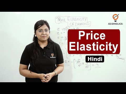 Price Elasticity Of Demand in Hindi | Theory Of Consumer Behaviour | Ecoholics