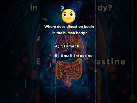In which part of the digestive tract digestion begins? ll where the digestion begins?