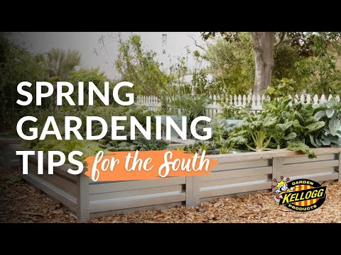 Spring Gardening Tips for Southern States: Transitioning into Warm Weather