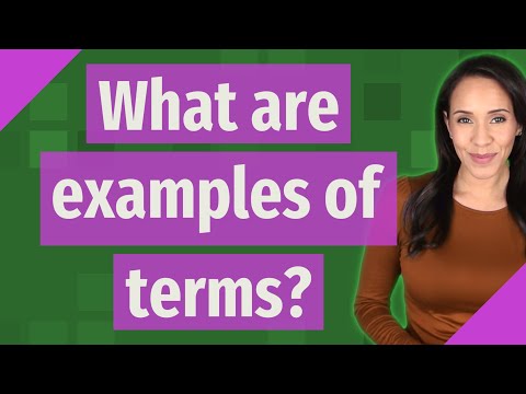 What are examples of terms?