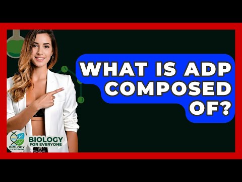 What Is ADP Composed Of? - Biology For Everyone