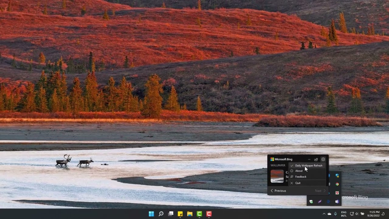 Get HD 4k Wallpaper for Laptop and Desktop Everyday From Bing - Windows 11