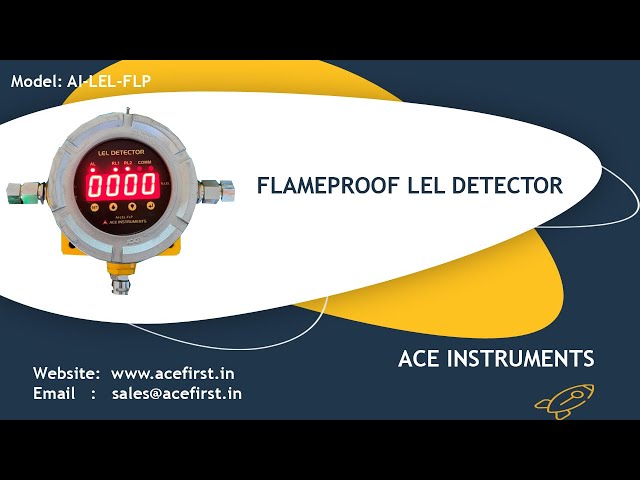 Gas Detectors - LEL Gas Detector Manufacturer from Hyderabad