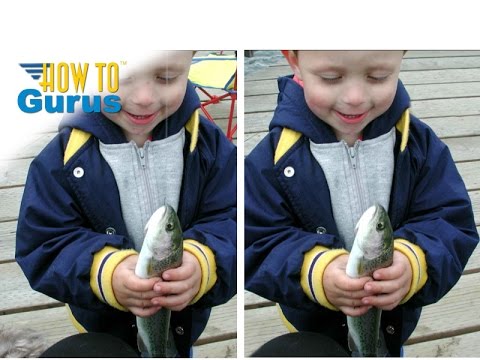 How You Can Remove Background Objects with Photoshop Elements