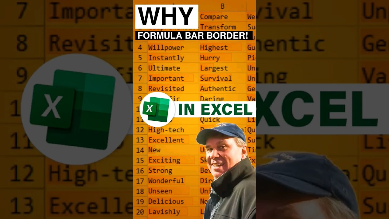 Why is there an Border around the #Excel Formula Bar - #shorts | MrExcel Message Board