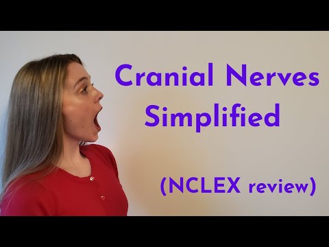 Cranial Nerves Simplified – Thatnursingprof