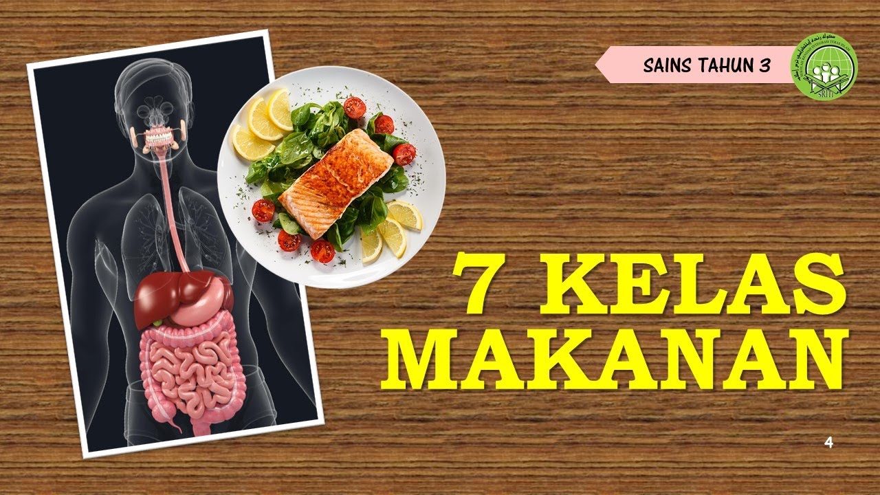 Unit 3 - Kelas Makanan (Sains Tahun 3)