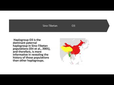 Human Y-chromosome DNA haplogroup and languages family