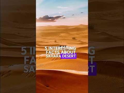 5 interesting facts about Sahara Desert #facts