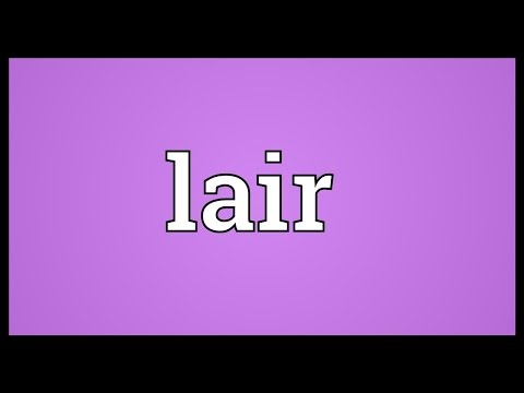 Lair Meaning
