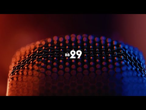 JZ Microphones BB29 (Signature Series) - 2022 - MINT - In | Reverb