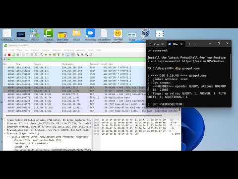 How to install dig in windows 11 and Wireshark Data Capture