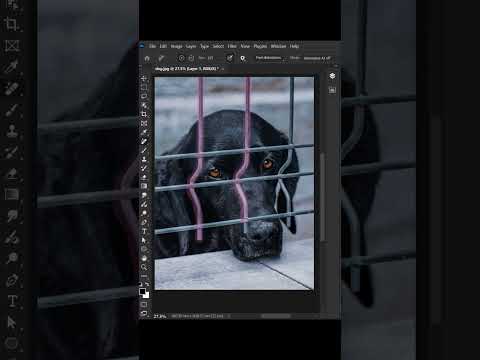 Adobe Photoshop 2025 Tips-The Magic Disappearance Trick #photoshop