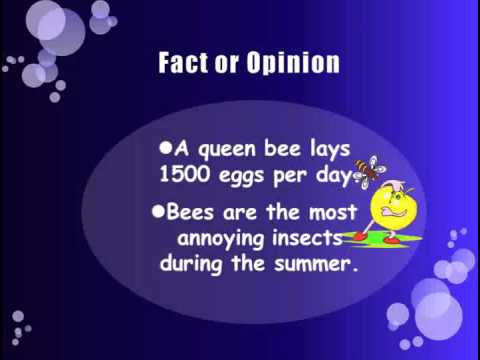fact or opinion