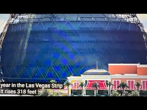 San Francisco Focus Blog: Megan Avalon: Pamela Sue Anderson and female ...