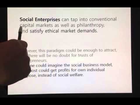 The definition of social enterprises