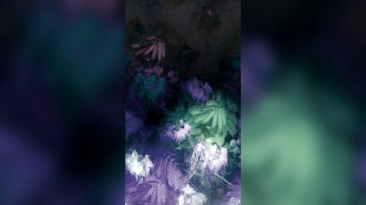 [2020] 0081 - The Rainforest