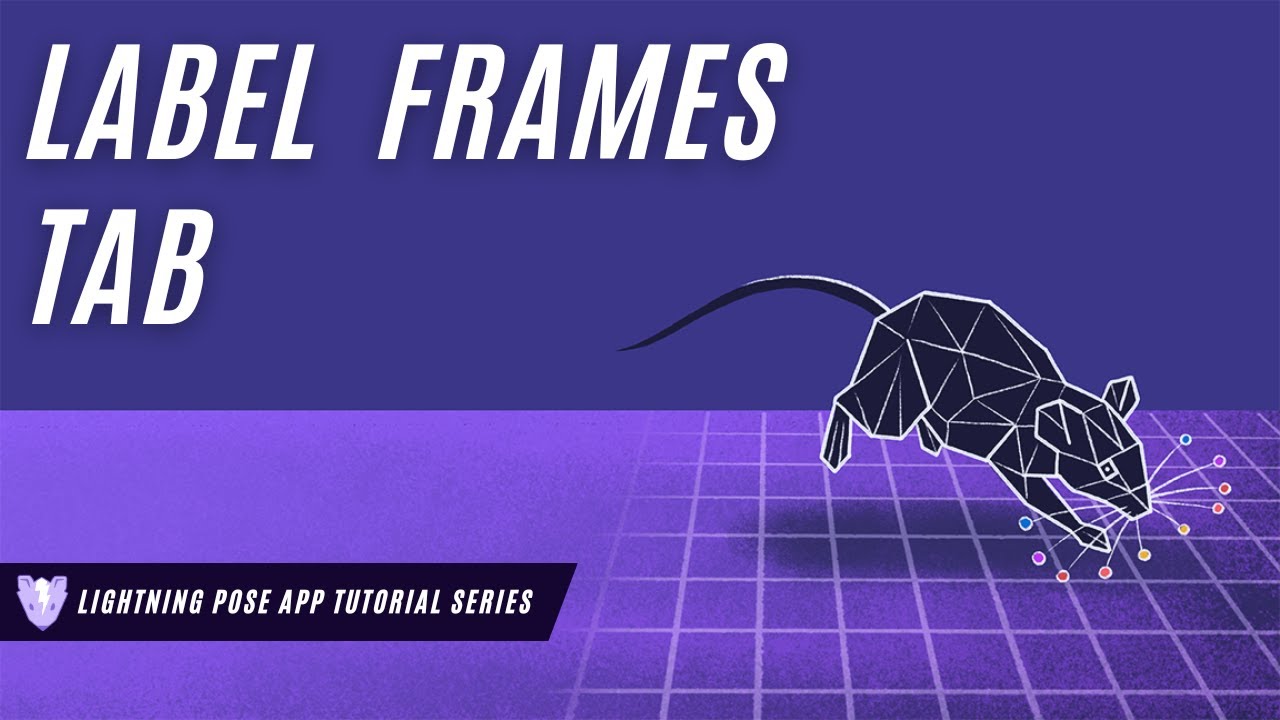 Lightning Pose App - Label Frames Tab