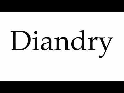 How to Pronounce Diandry