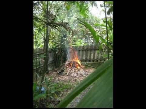 PROTO CAT | A PLACE TO CELEBRATE