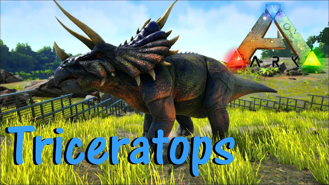 Triceratops Educational Special [7]