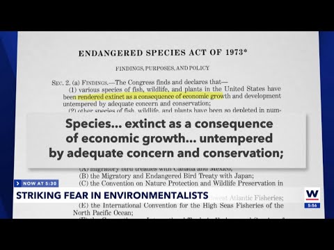 Florida conservationists alarmed by proposed Endangered Species Act change