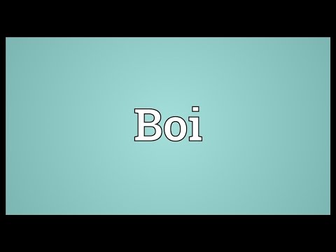 Boi Meaning