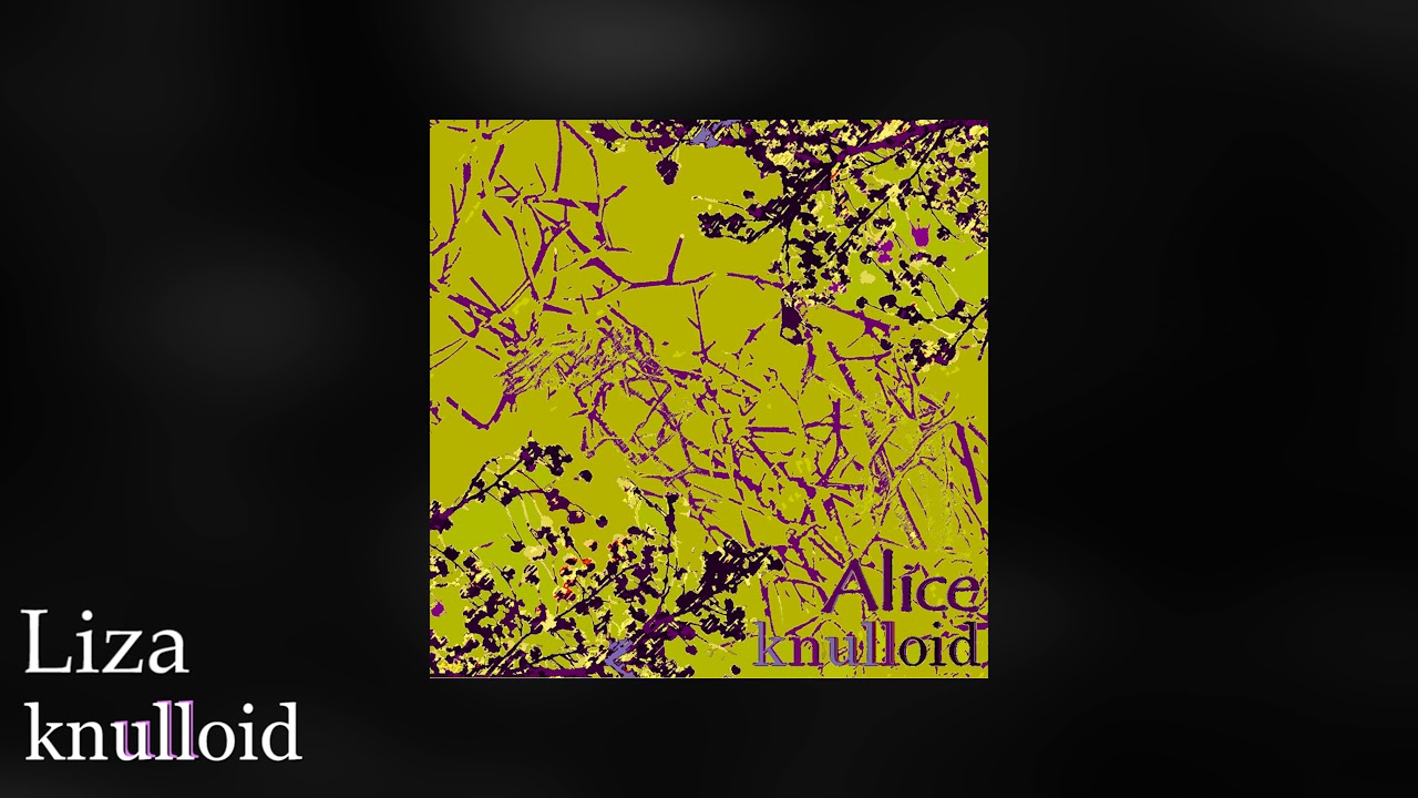knulloid - Liza
