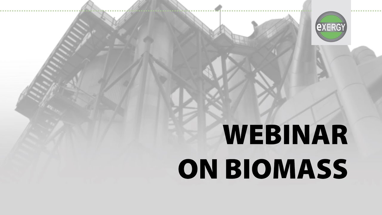 Swedish Exergy - Webinar on Biomass