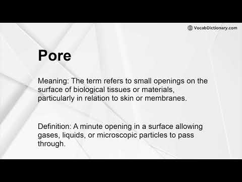 Pore Meaning