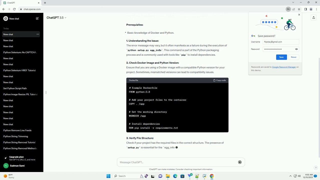 python setup py egg info did not run successfully docker
