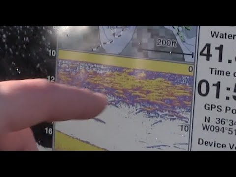 How to catch shad using fish finders.